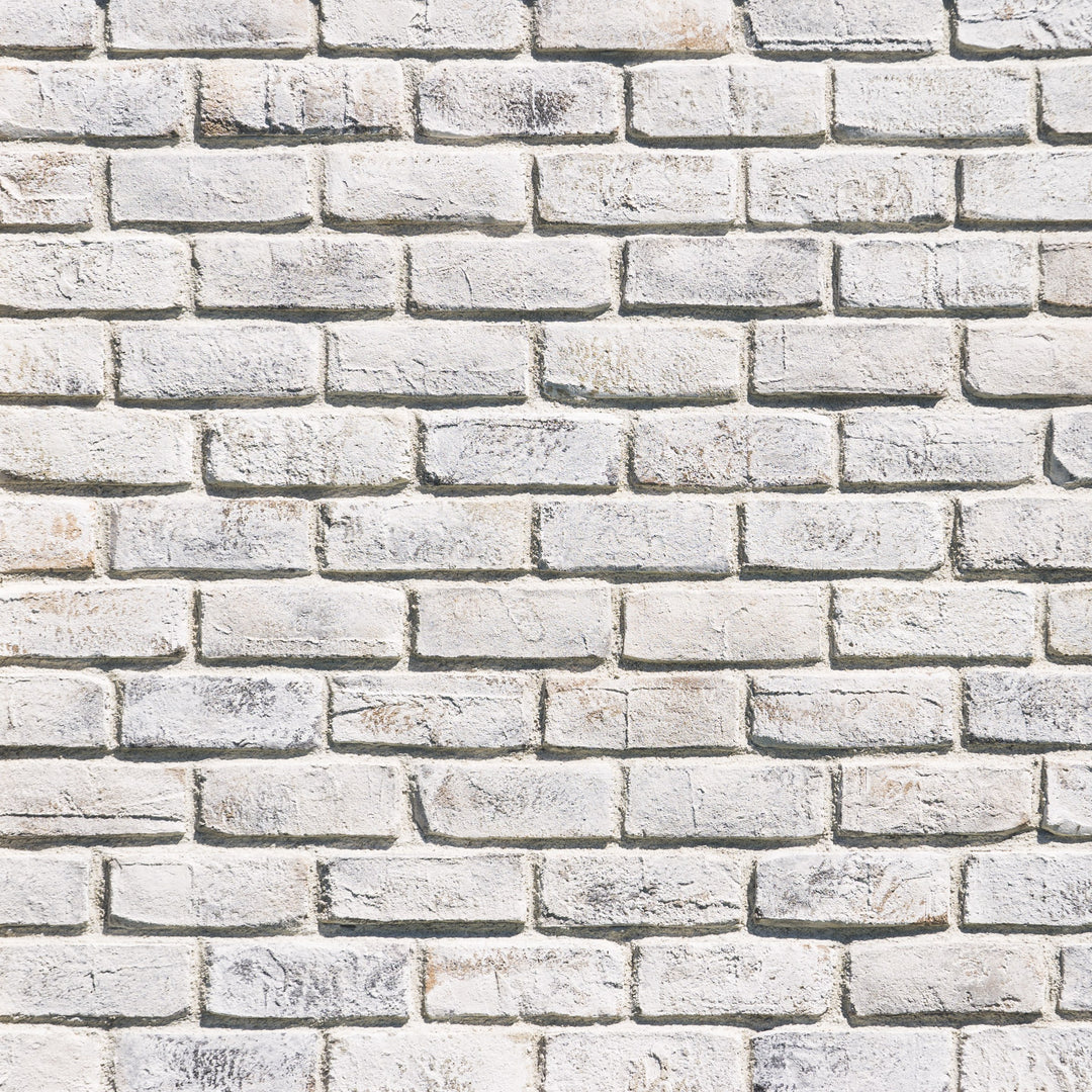 CANNERY BRICK™ VENEER – Creative Mines Brick Store