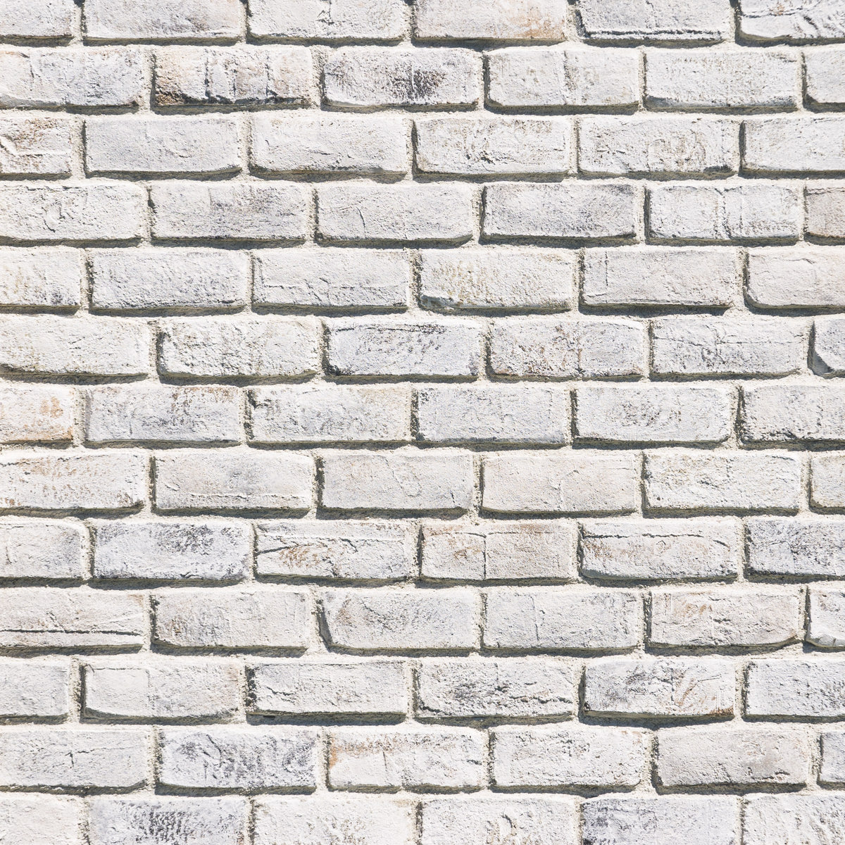 Arcticdrift Cannery Brick™ Veneer – Creative Mines Brick Store