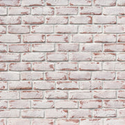 CANNERY BRICK™ VENEER – Creative Mines Brick Store