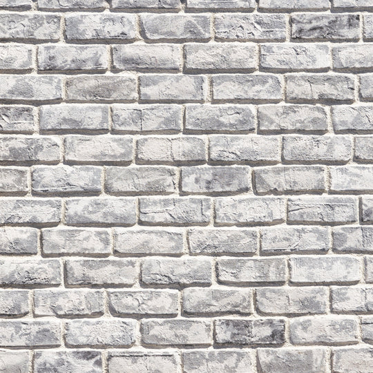 CANNERY BRICK™ VENEER – Creative Mines Brick Store