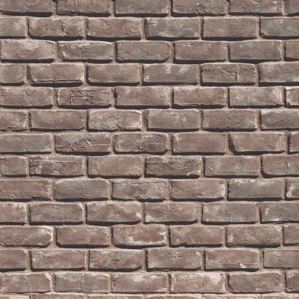 Plumwood Cannery Brick™ Veneer – Creative Mines Brick Store