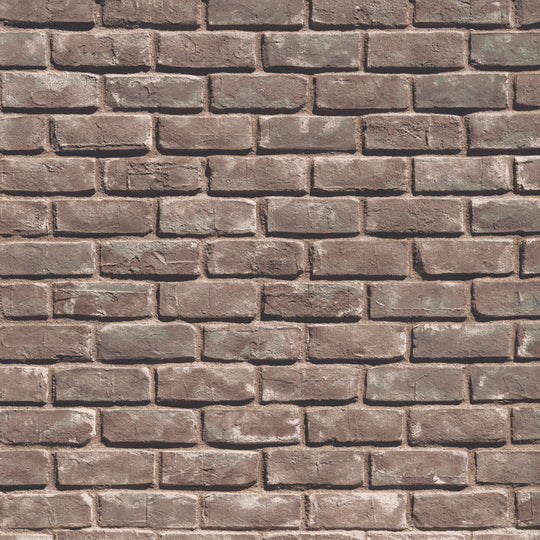 CANNERY BRICK™ VENEER – Creative Mines Brick Store