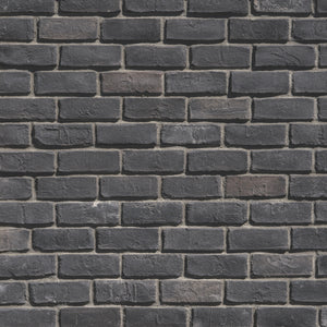 CANNERY BRICK™ VENEER – Creative Mines Brick Store